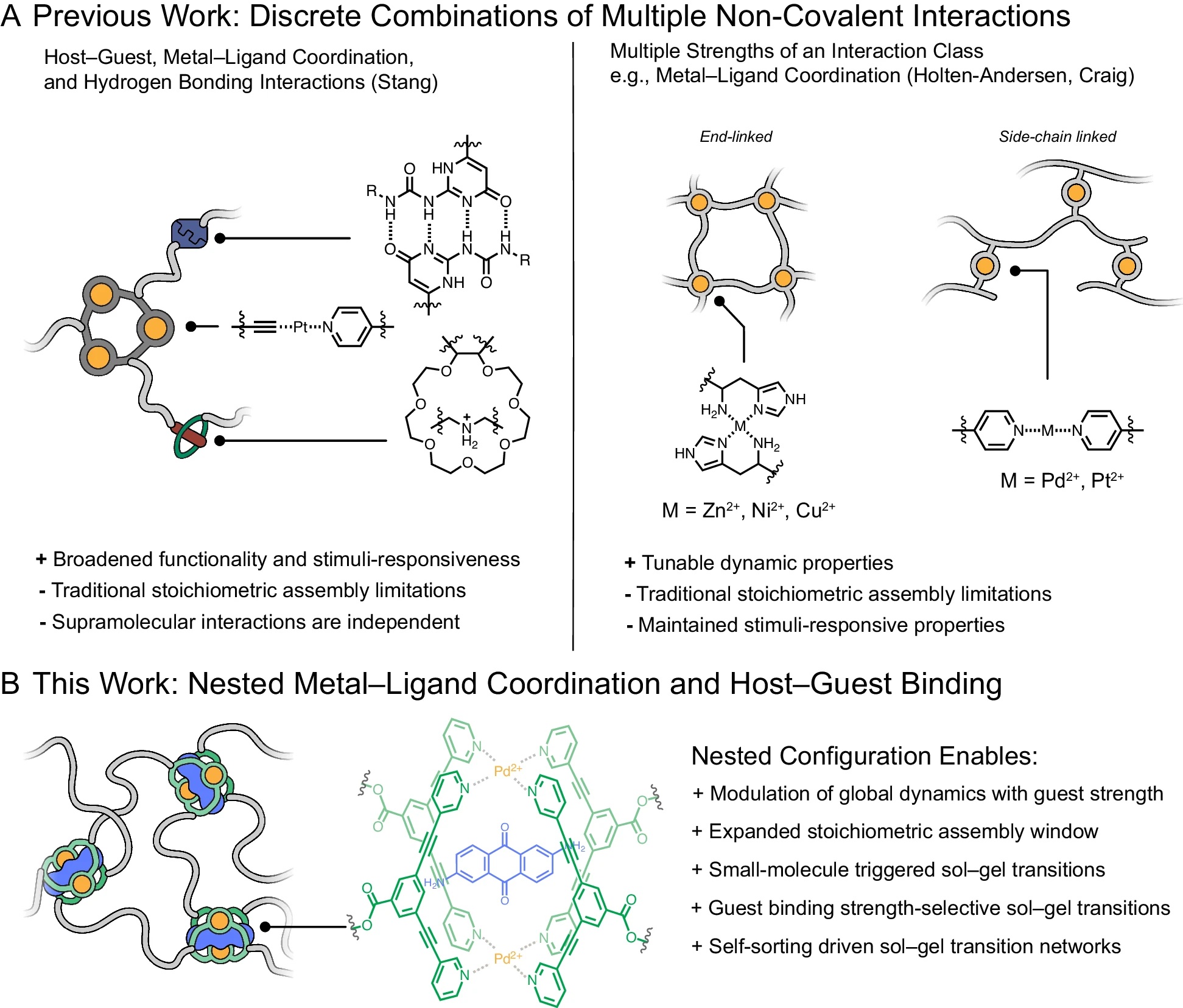 Nested Non-covalent Interactions Expand the Functions of Supramolecular Polymer Networks | Kulik ...