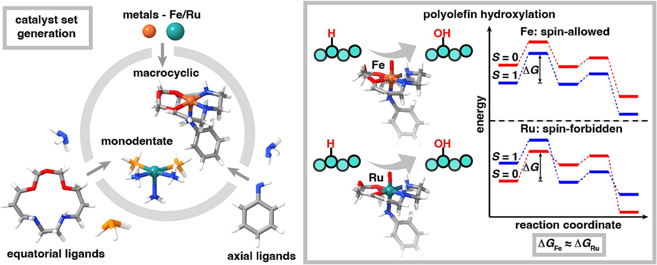 Large-scale Comparison of Fe and Ru Polyolefin C–H Activation Catalysts ...