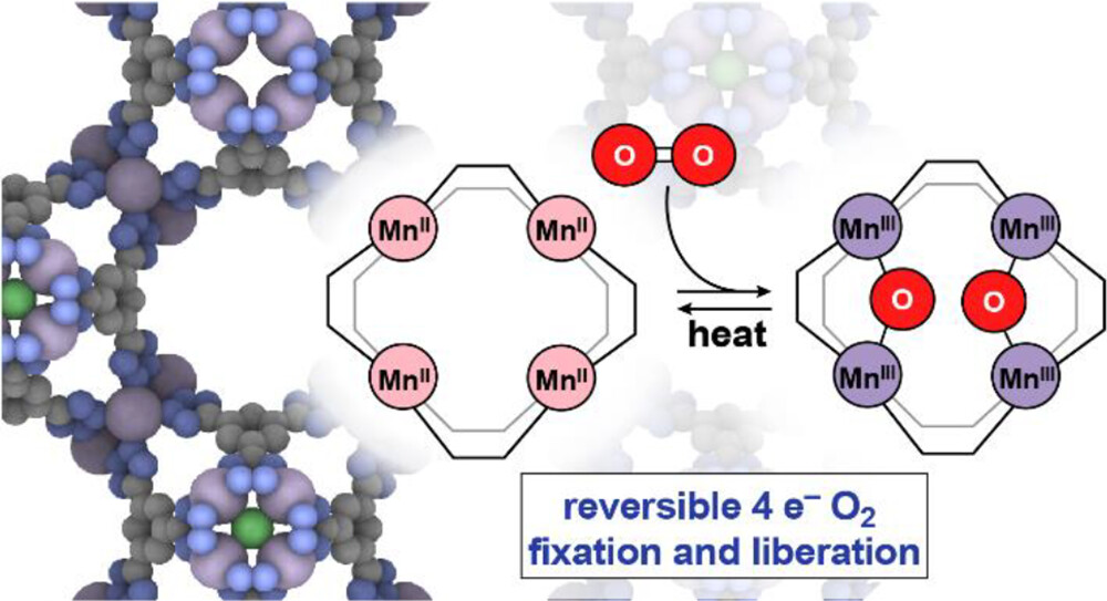 Reversible O–O Bond Scission and O₂ Evolution at MOF-supported ...