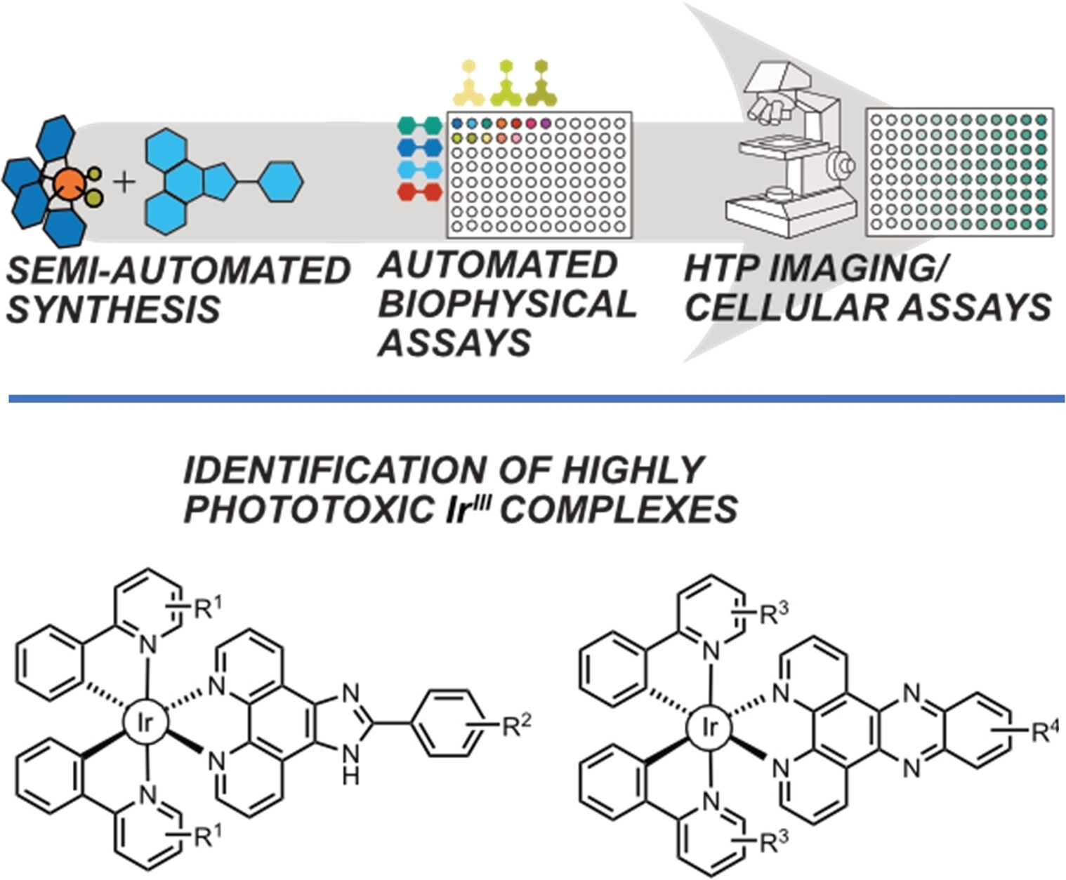 A semi-automated, high-throughput approach for the synthesis and ...