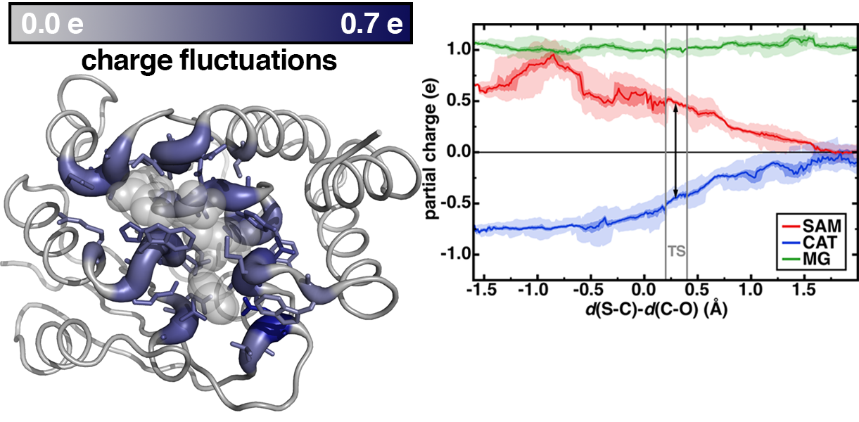 Large-scale QM/MM free energy simulations of enzyme catalysis reveal ...