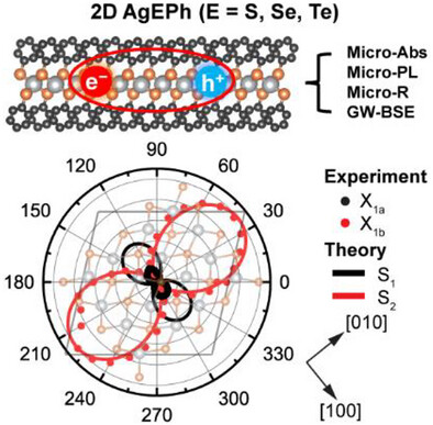 Excitonic Anisotropy in Single-Crystalline 2D Silver ...