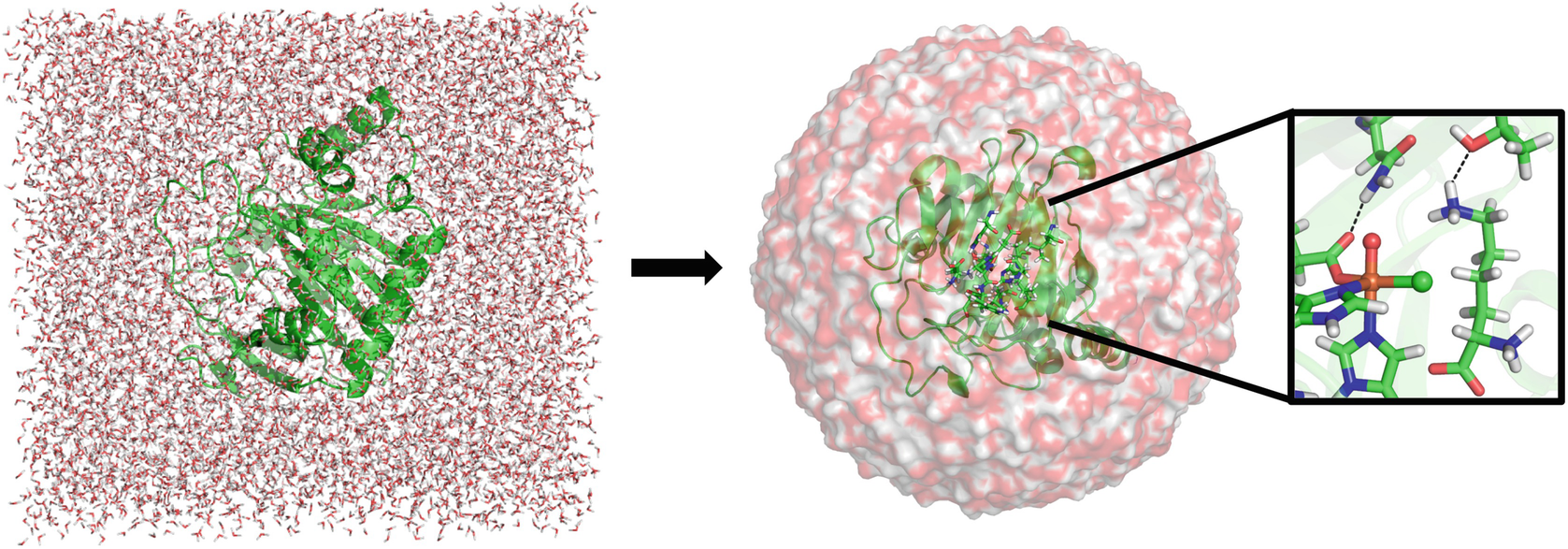 Quantum-Mechanical/Molecular-Mechanical (QM/MM) Simulations for ...