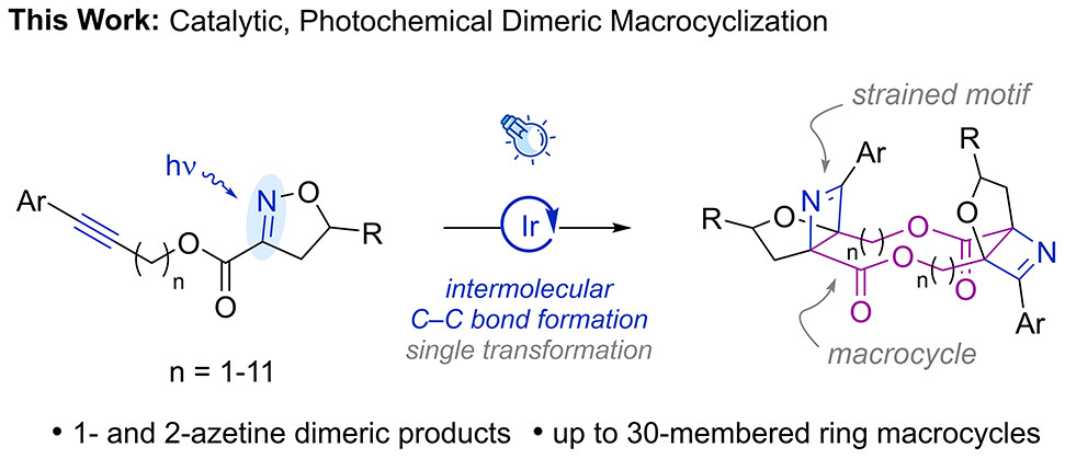 Visible-Light-Mediated Macrocyclization for the Formation of Azetine ...
