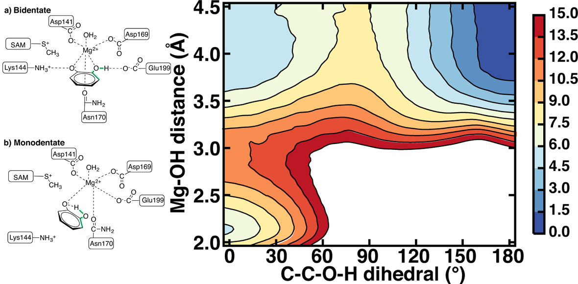 Computational Investigation of the Interplay of Substrate Positioning ...