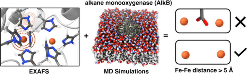 No Bridge between Us: EXAFS and Computations Confirm Two Distant Iron ...