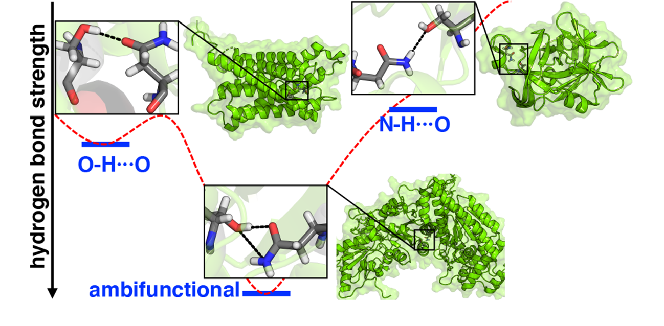 When are two hydrogen bonds better than one? Accurate first-principles ...