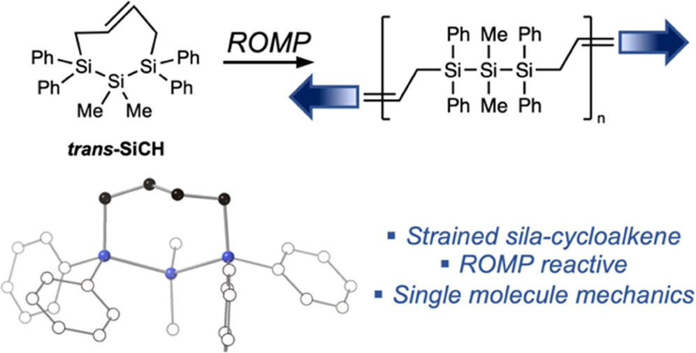 Synthesis and Ring-opening Metathesis Polymerization of a Strained ...