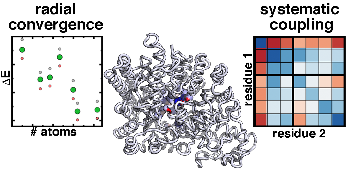 Revealing quantum mechanical effects in enzyme catalysis with large ...