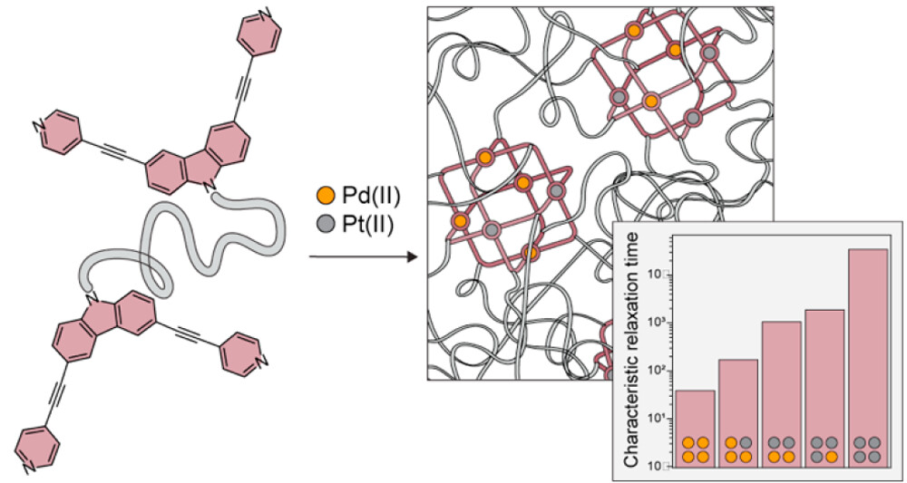 Polymer Networks with Cubic, Mixed Pd(II) and Pt(II) M₆L₁₂ Metal ...